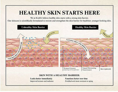 Learn How to Deal with Skin Barrier | Skincare Routine | Kiehl's
